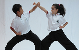 Classes | Xin Ying Wushu Training Centre